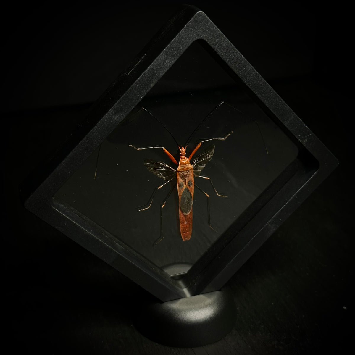 Red Screaming Face Bug – Forgotten Boneyard