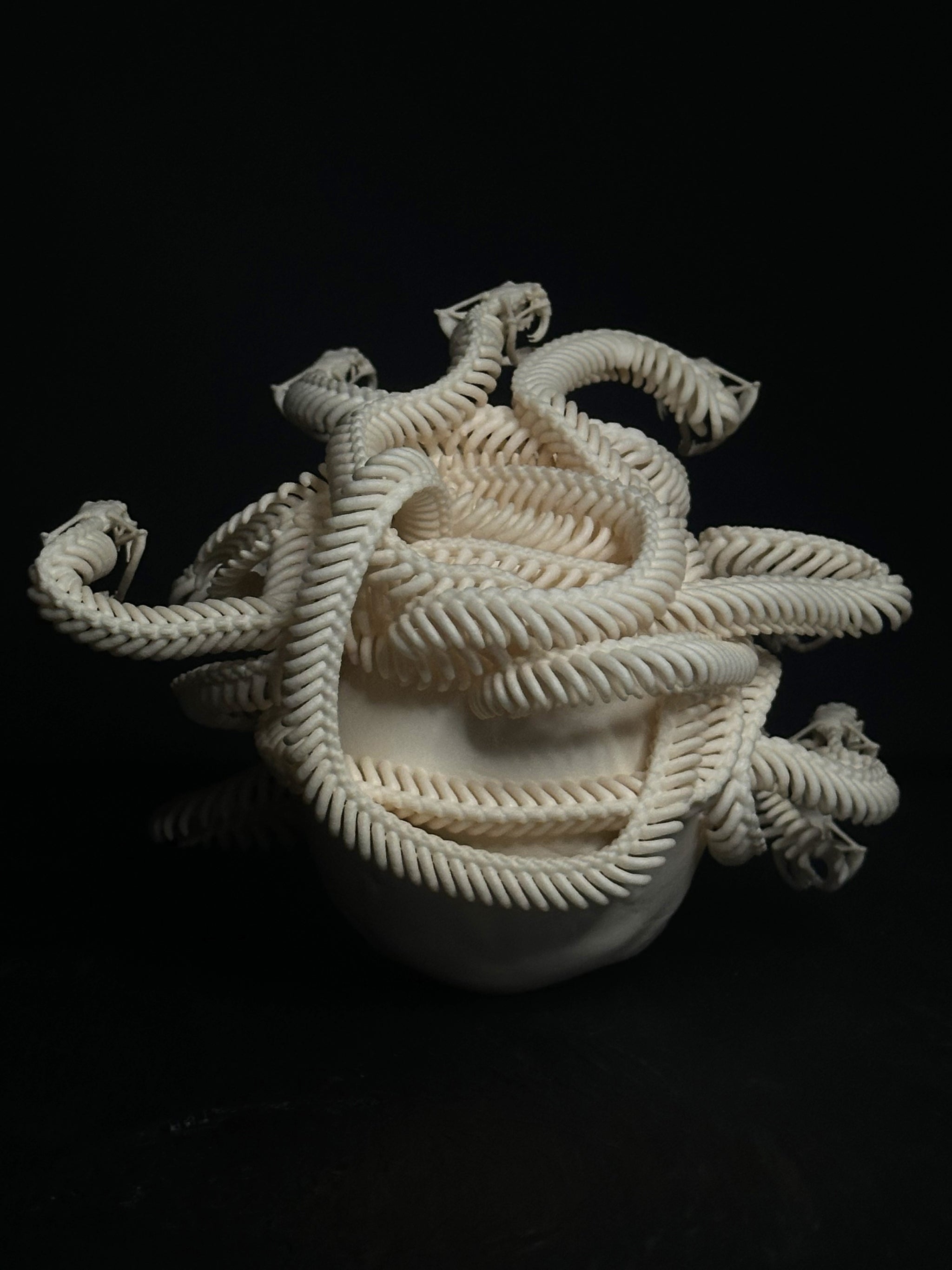 Medusa Skull (Replica) – Forgotten Boneyard
