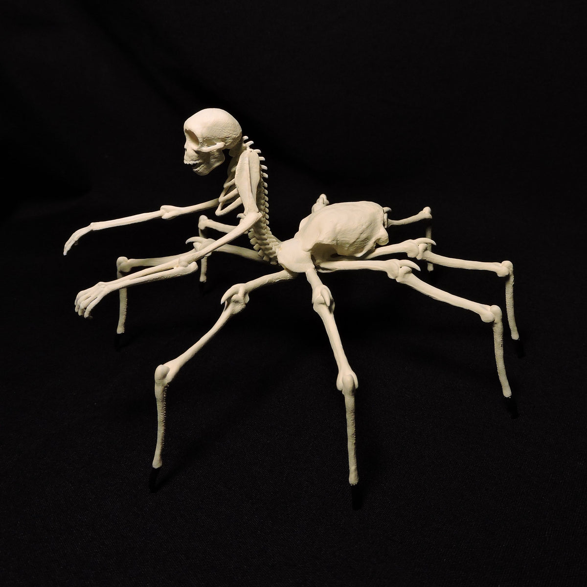 Arachne Plastic Replica Figurine – Forgotten Boneyard